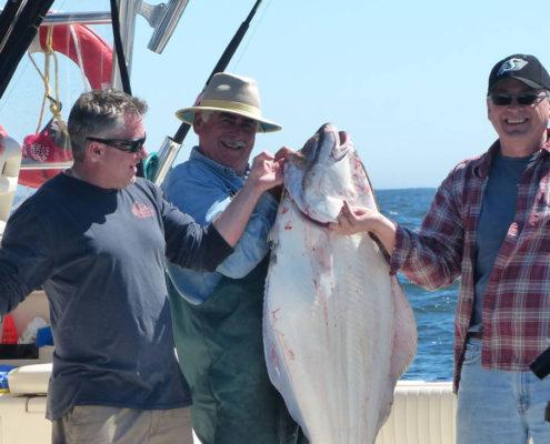 Halibut Fishing Adventure Action in Ucluelet BC near tofino